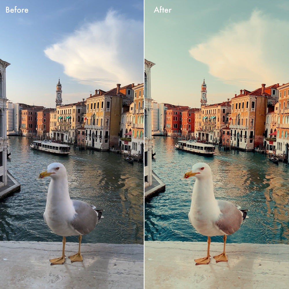 Cinematic LUTs for iPhone Videos - Cinematic Film Look
